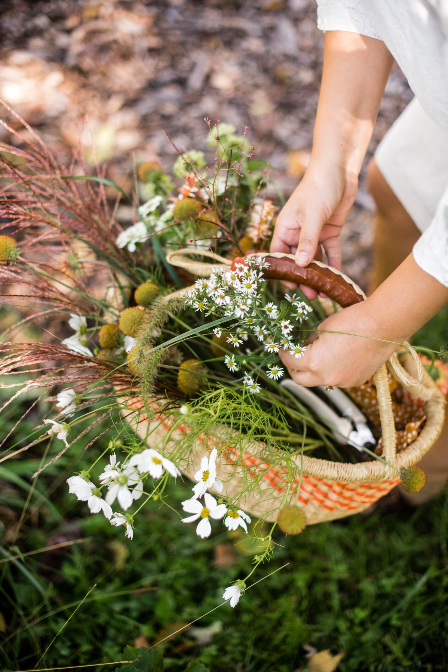How to Find the Best Flowers Near You - thefloralcoach.com
