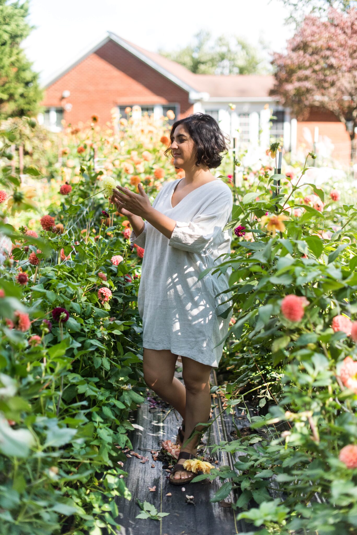 How to Find the Best Flowers Near You - thefloralcoach.com