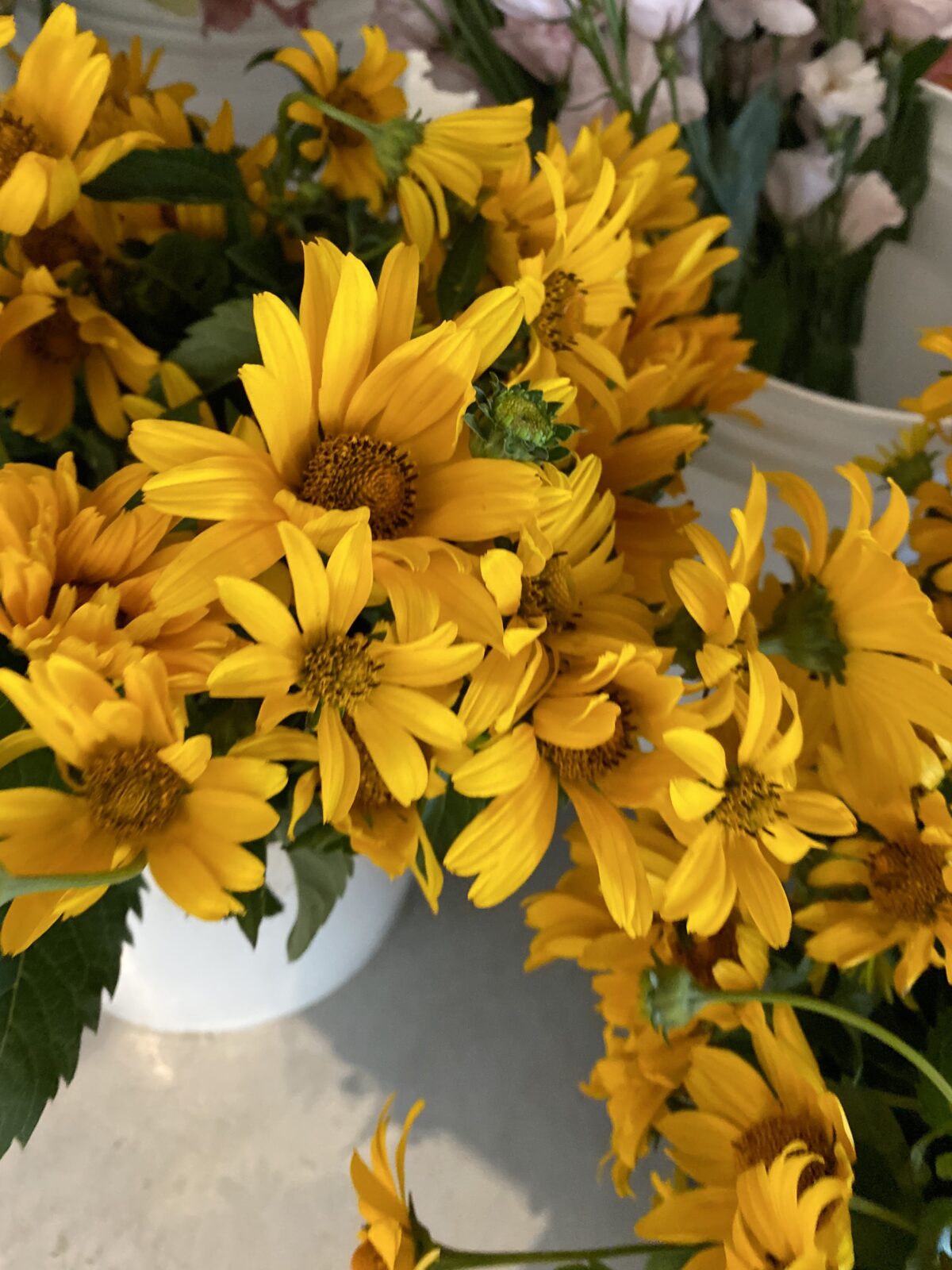 Exploring Color with Seasonal Flowers - thefloralcoach.com